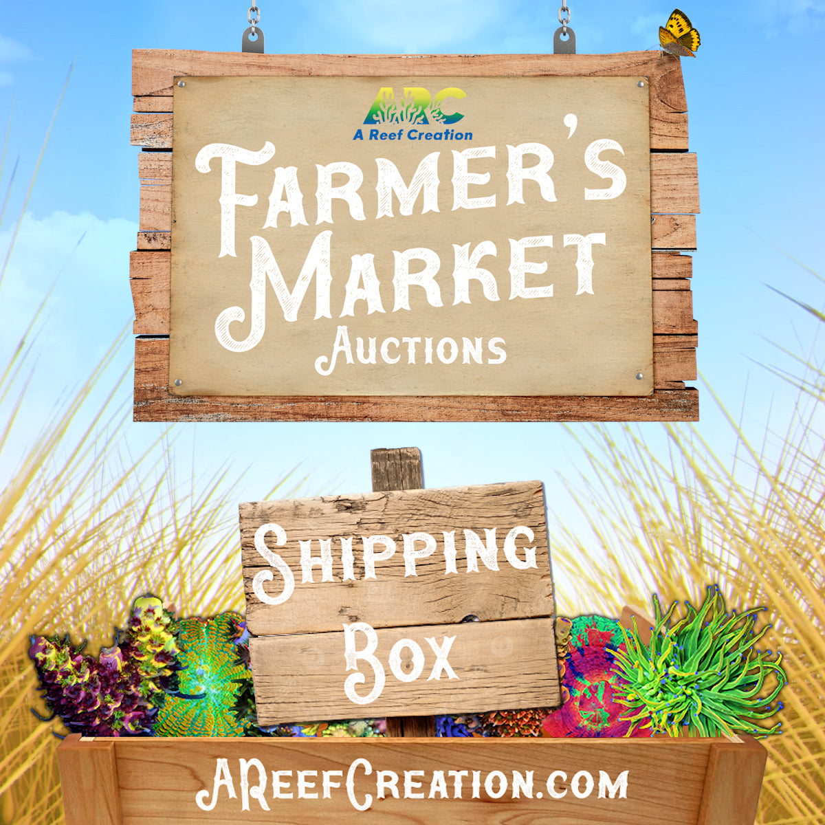 Shipping Box A Reef Creation shipping-box-a-reef-creation